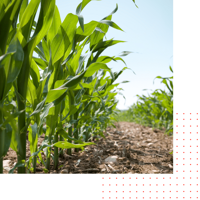 Agricultural Products - Universal Urethane